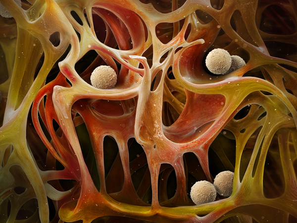 Monster In The Marrow - Alice Blue